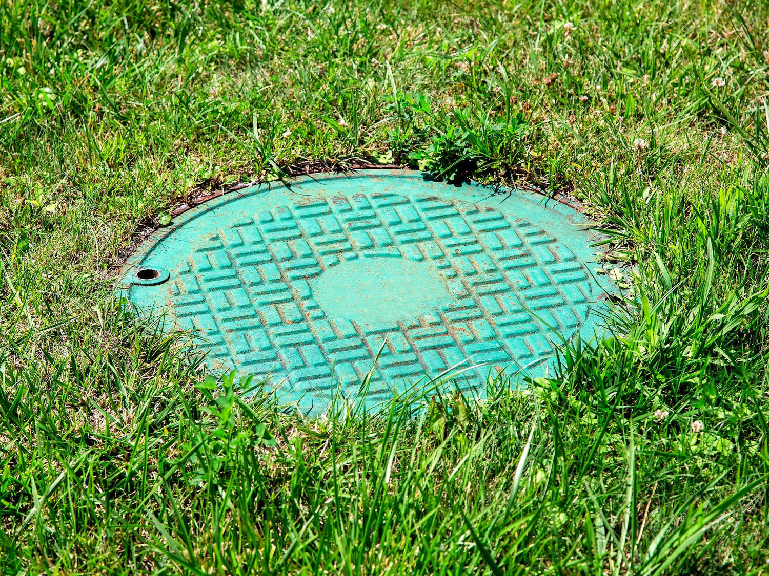 Greywater and Septic Systems - Water Wise Group
