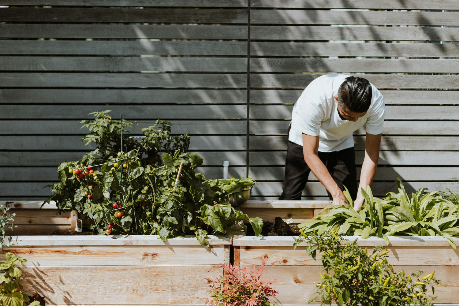 Greywater Systems & How You Can Use Them - Water Wise Group